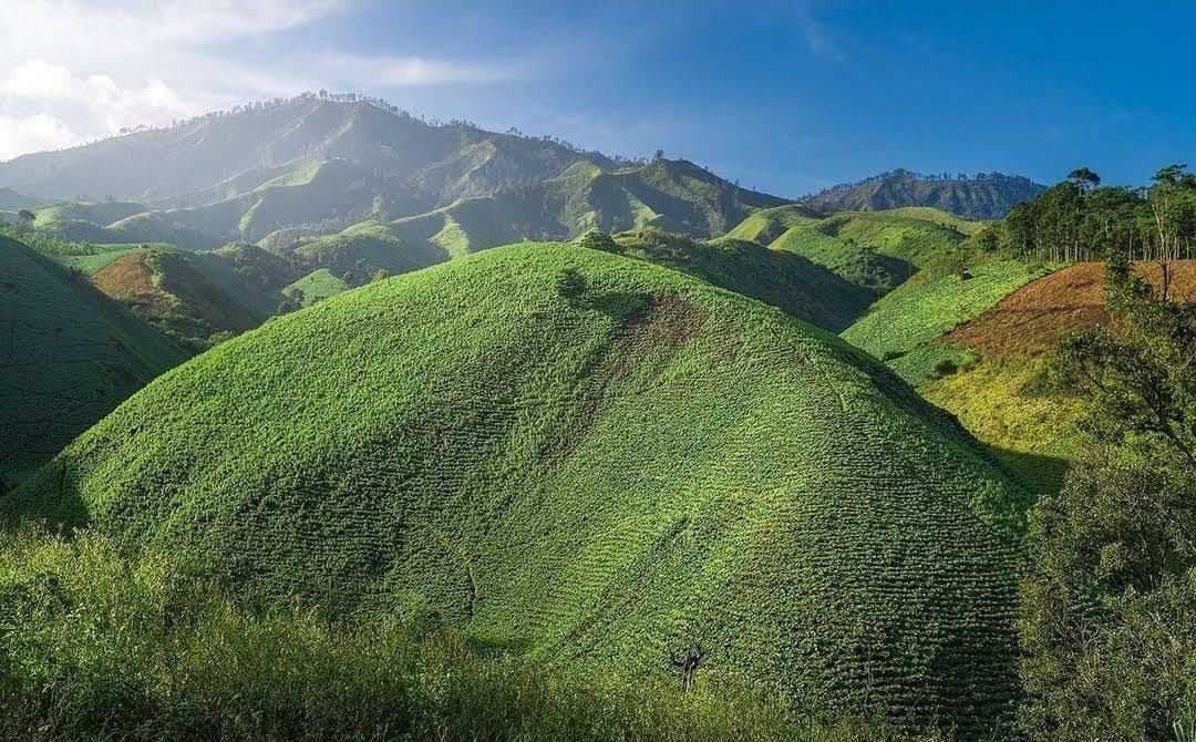 8 Tempat Wisata Terbaru di Bondowoso 2025 yang Lagi Hits dan Instagramable