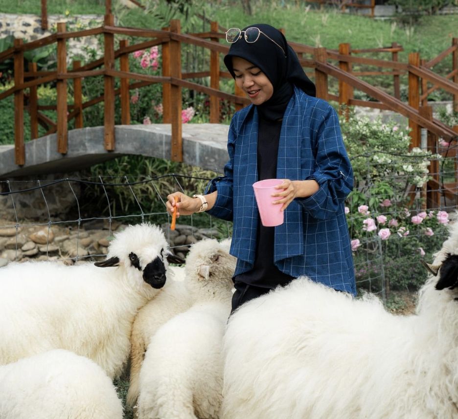 Wisata Bukit Domba Shaun The Sheep, Tempat Liburan Singkat di Sentul ...