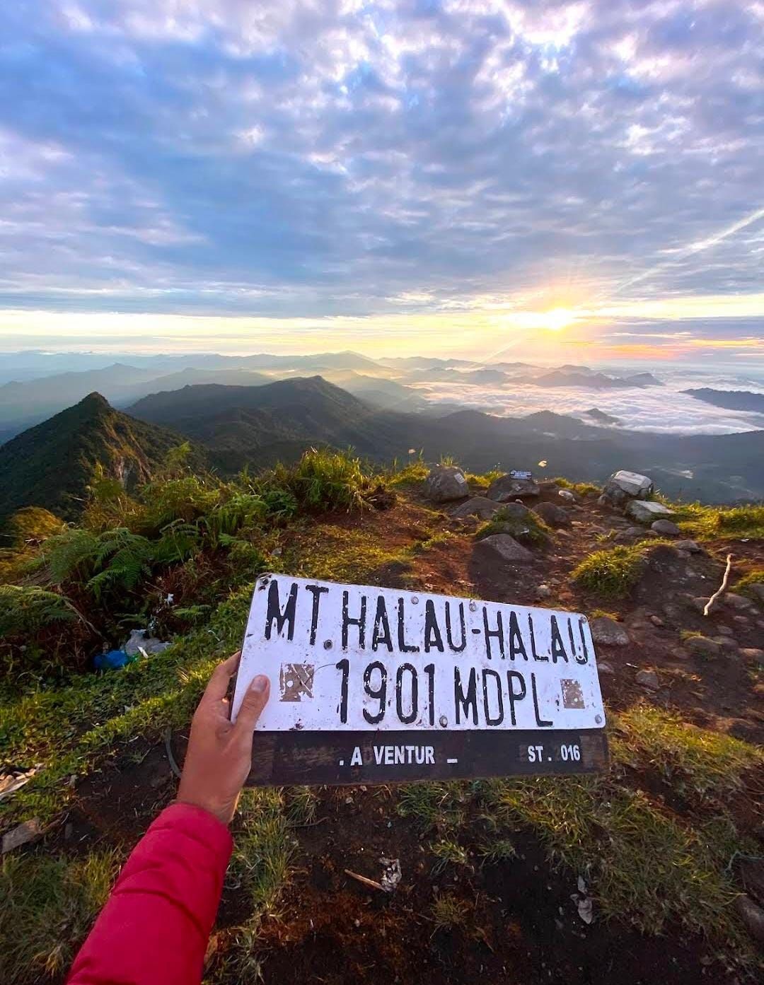 Gunung Halau-Halau: Lokasi, Jalur Pendakian, dan Pesona Puncak ...
