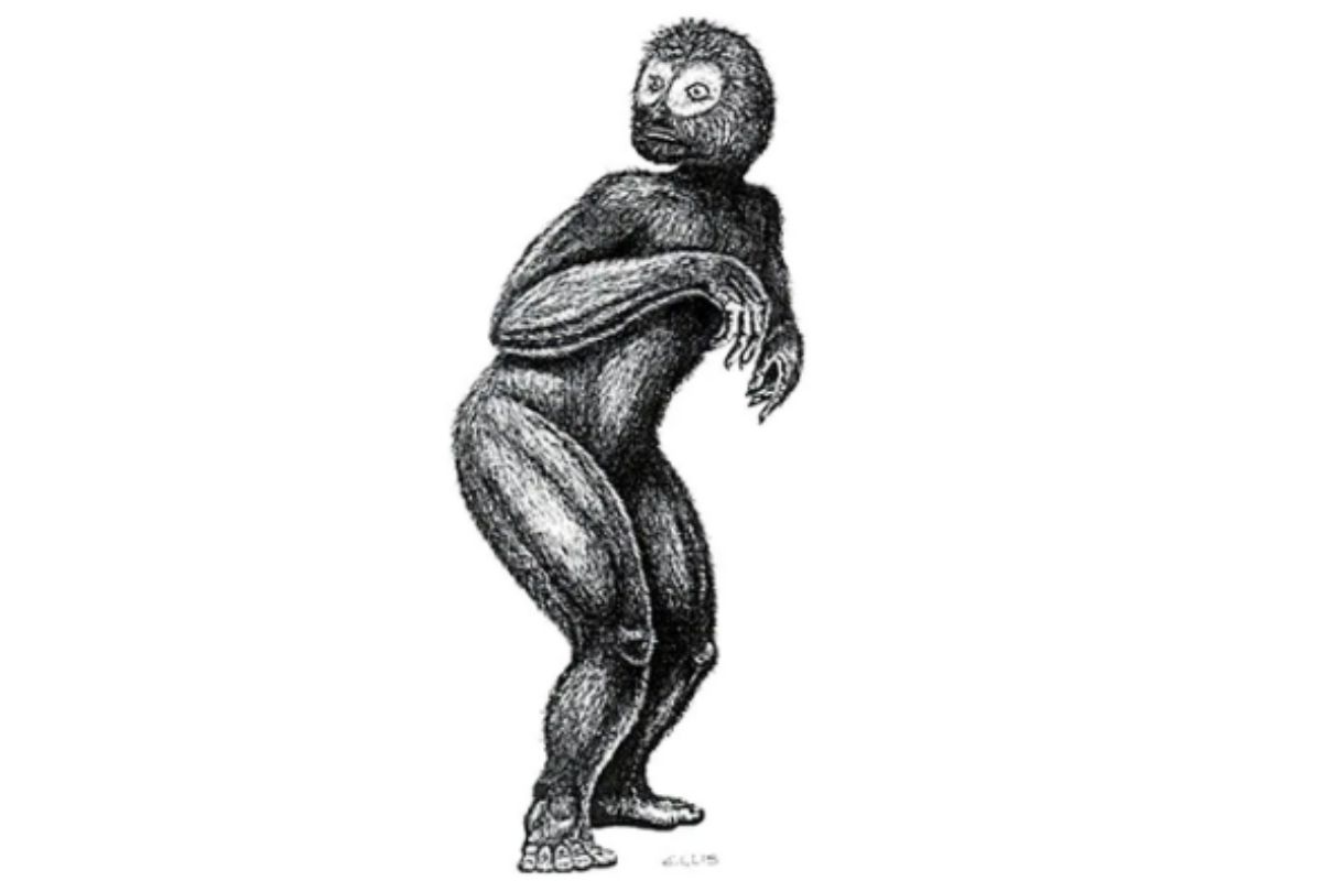 Urban Legend Skunk Ape: Misteri Primata Berbulu dari Rawa Florida