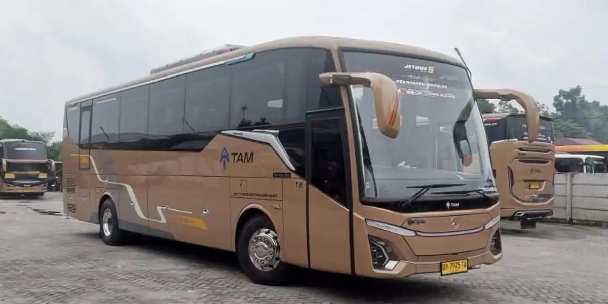 Info Lengkap Jalur Bus Antarkota dari Terminal Pekanbaru dan Harga Tiketnya