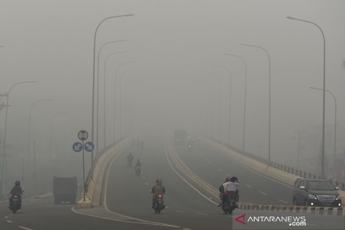 4 Tips Berkendara Aman di Tengah Kabut Tebal, agar Terhindar dari ...