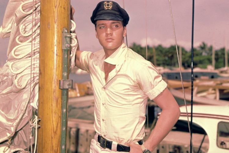 Serial Animasi Mata-Mata Elvis Presley Bakal Tayang di Netflix