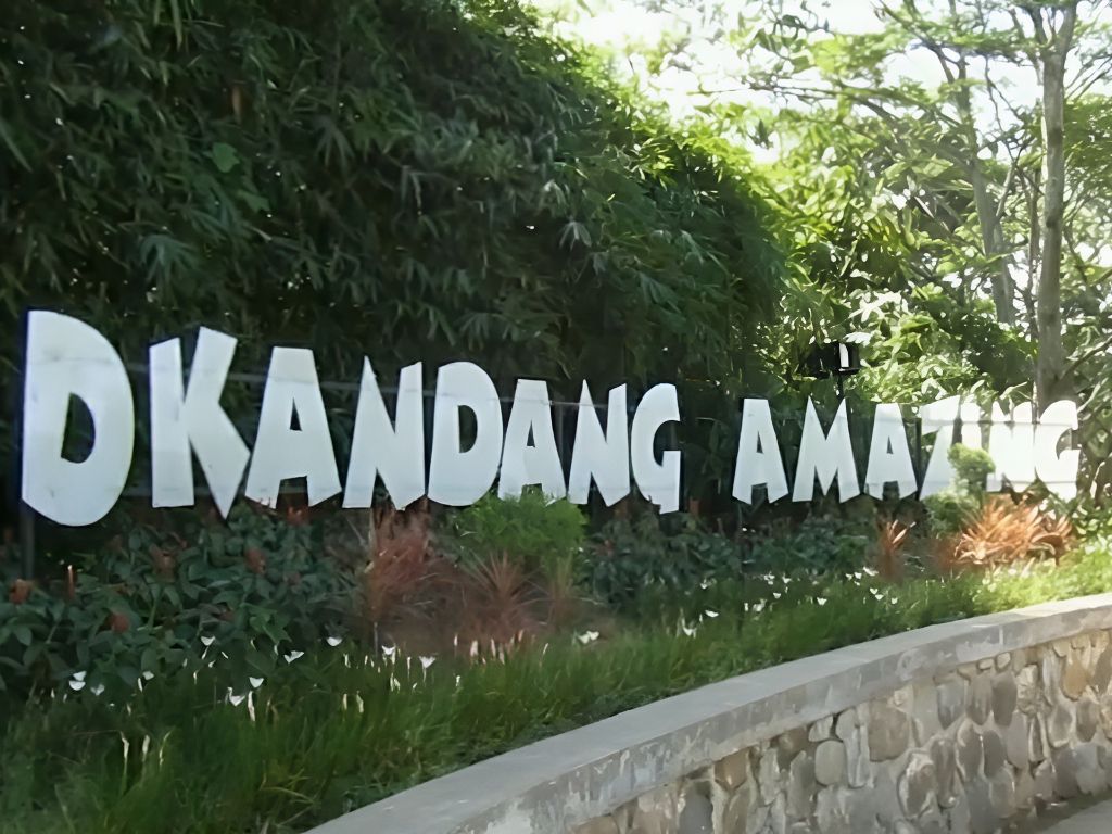 D'Kandang Amazing Farm,Tempat Wisata Edukasi Keluarga dengan Konsep ...