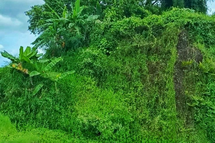 Gua Awewe Randa: Fakta dan Mitos di Balik Keindahan Hutan Belantara ...