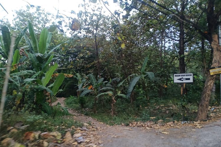 Mitos & Misteri Tanjakan Sigar Bencah, Angker dan Dipercaya sebagai ...