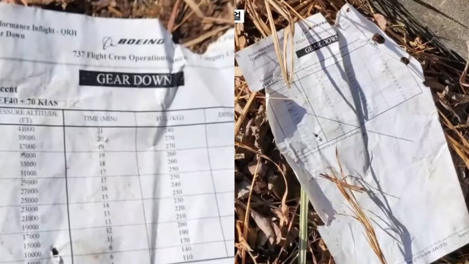 Kisah Tragis Robekan dari Manual Pesawat 737, Bukti Perjuangan Pilot ...