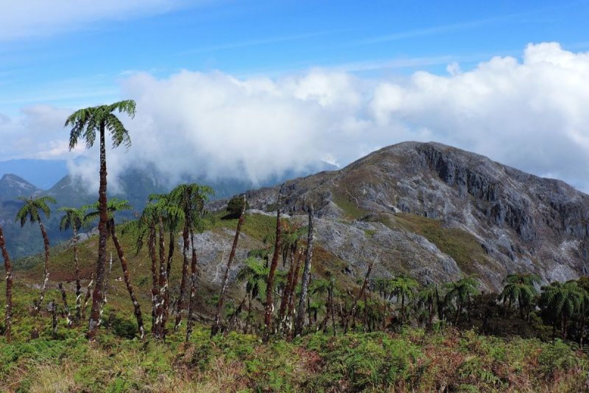 Balai TN Manusela Tutup Sementara Jalur Wisata Gunung Binaiya Buntut ...