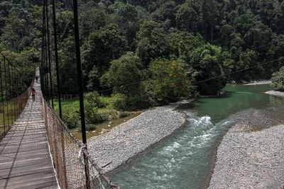 FOTO: Wisata Ekosistem Tangkahan Sumatera Utara