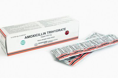 Amoxicillin Trihydrate Obat Apa? Ini Kegunaan, Dosis, dan Efek Sampingnya