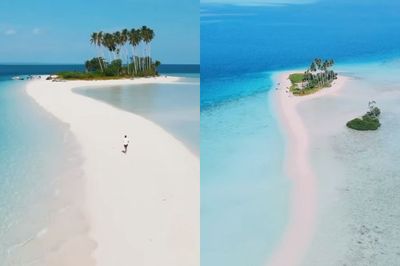 Pulau Manimbora, Destinasi Wisata Spongebob-nya Indonesia Bak Permata ...