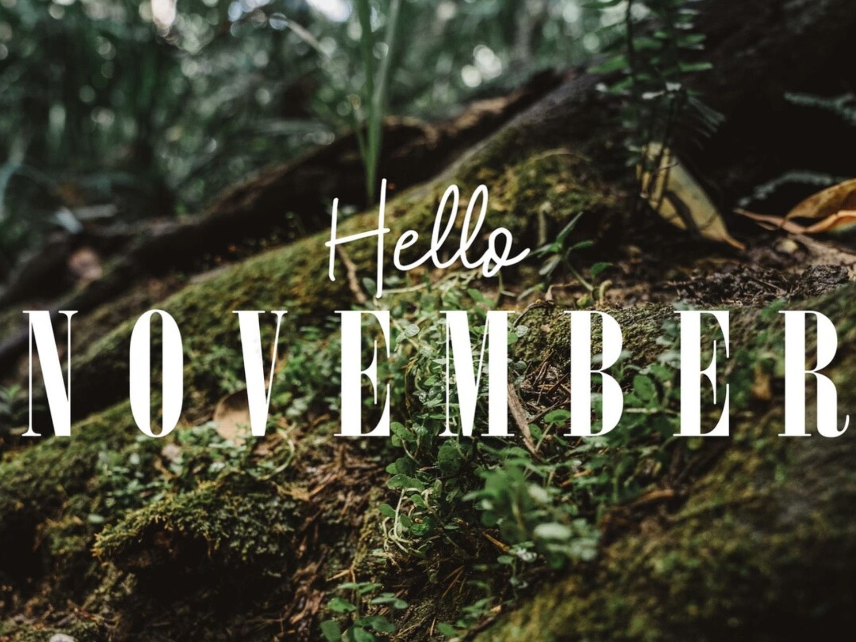 17 Ucapan Singkat Welcome Bulan November Dalam Bahasa Inggris yang ...