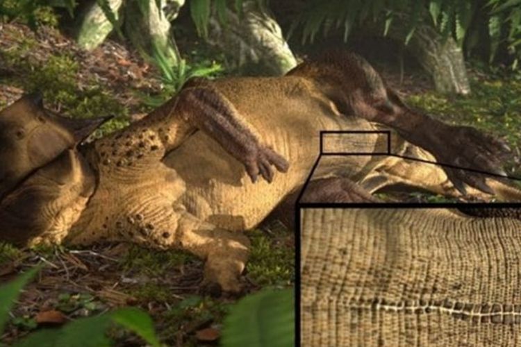 Ilmuwan Berhasil Ungkap Fakta Dinosaurus Ternyata Punya 'Pusar Perut ...